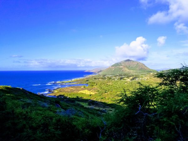 15 Things to Know Before Traveling to Oahu - It's a Family Thing