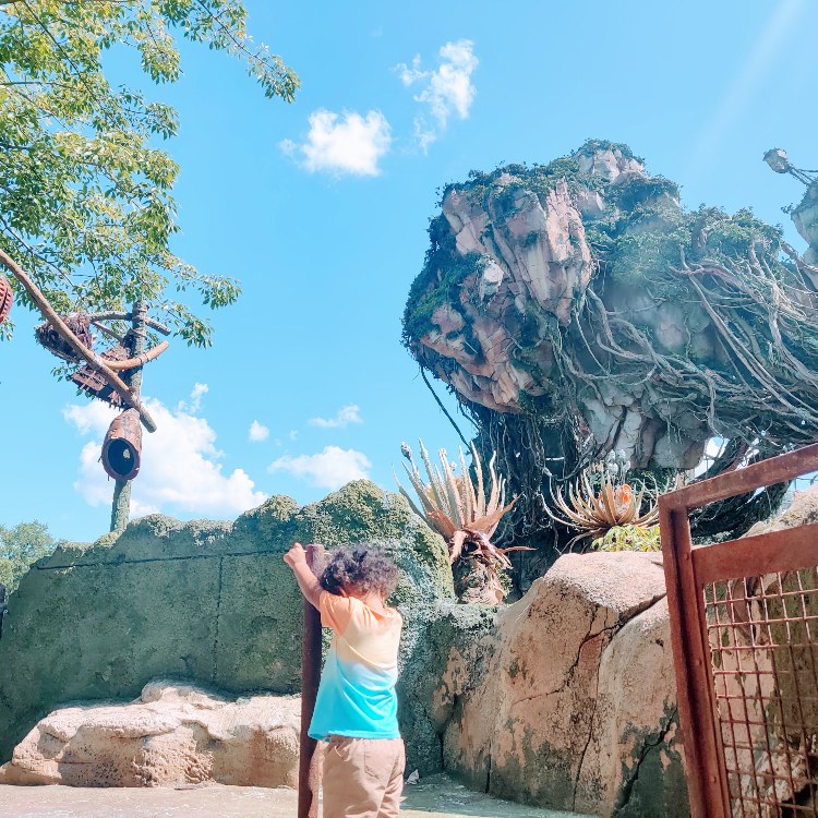 Enjoying Animal Kingdom with Toddlers - It's a Family Thing