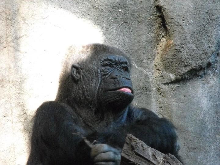 9 Toddler-Friendly Vacation Cities in Washington State - It's a Family ...